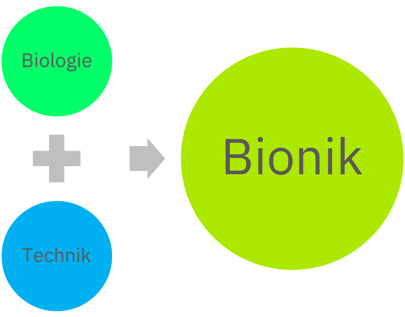 Bionik – SCHWALMBERGER